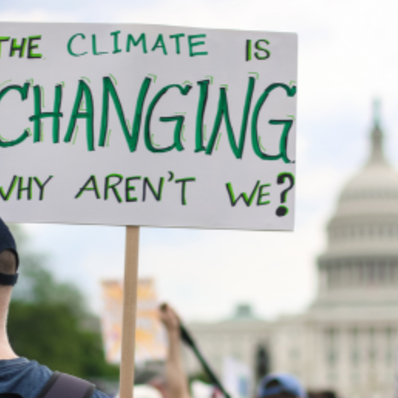 THE PLAN FOR A 100 PERCENT CLEAN FUTURE IS SAVING NATURE | ecoWURD